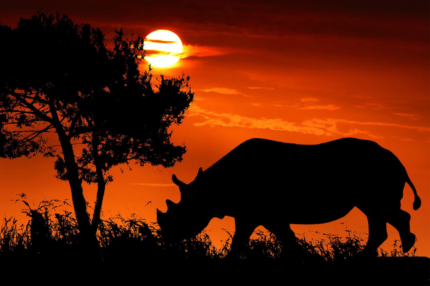 Fotobehang Rood – Warmte & Passie aan de Muur